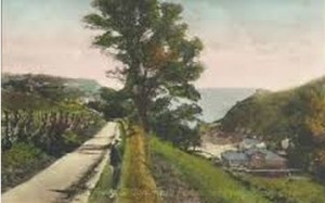 POINT NEPTUNE | HOUSE AND HERITAGE